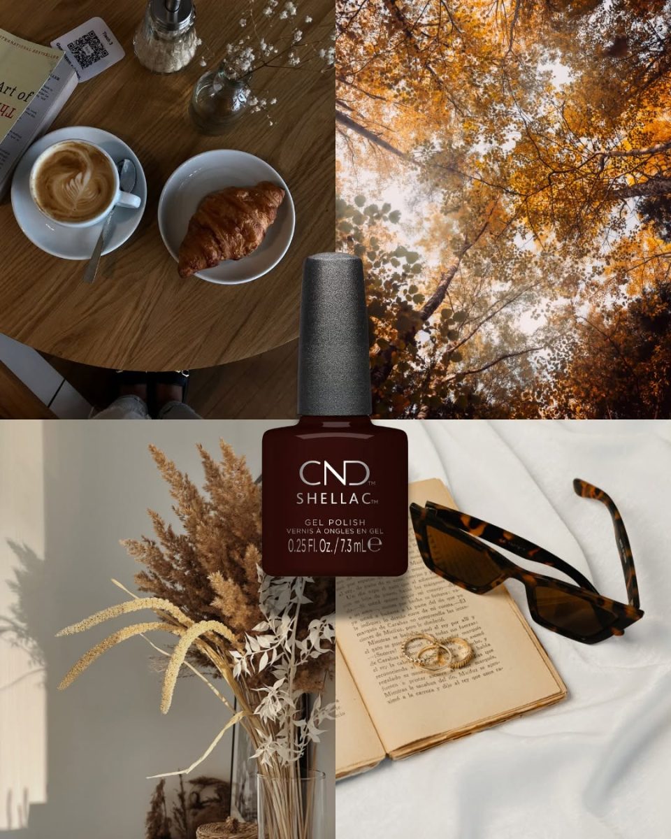 CND Shellac for Pros | Application, Removal & Vinylux Comparison